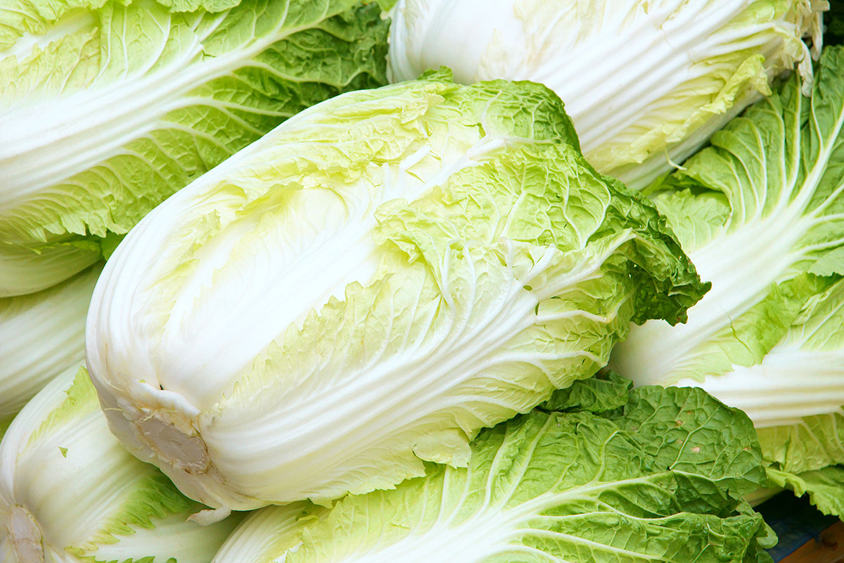 Fresh Chinese vegetables reach UAE shelves in 48 hours