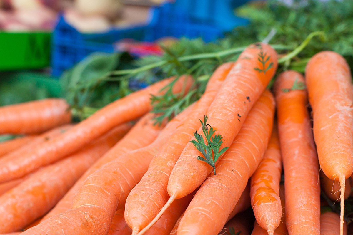 Michigan producers to vote on continuation of Carrot Industry ...