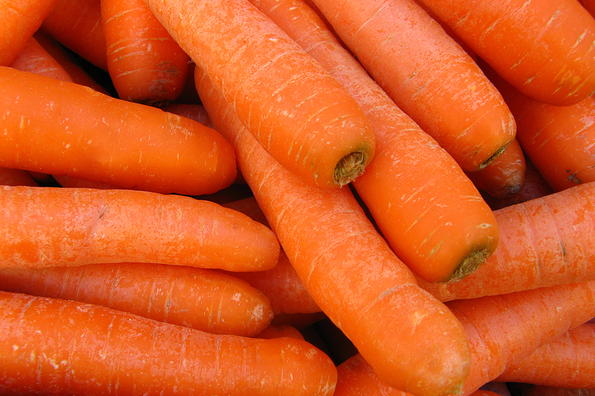 Poland sees carrot prices start to rise amid low base and strong supply