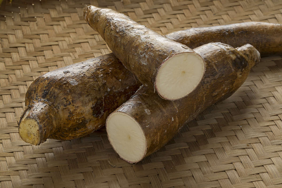 Vietnam’s cassava exports soar in volume