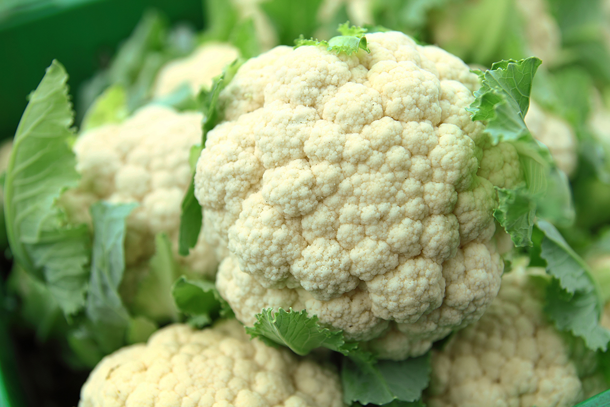 Kyrgyz Ministry of Agriculture urges focus on cultivating cruciferous ...