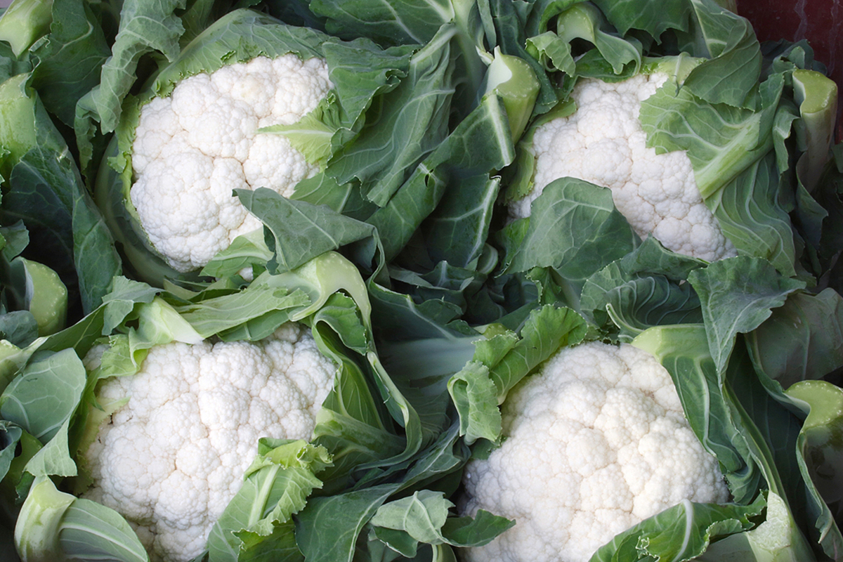 Cambodia's tram kak community expands cauliflower cultivation