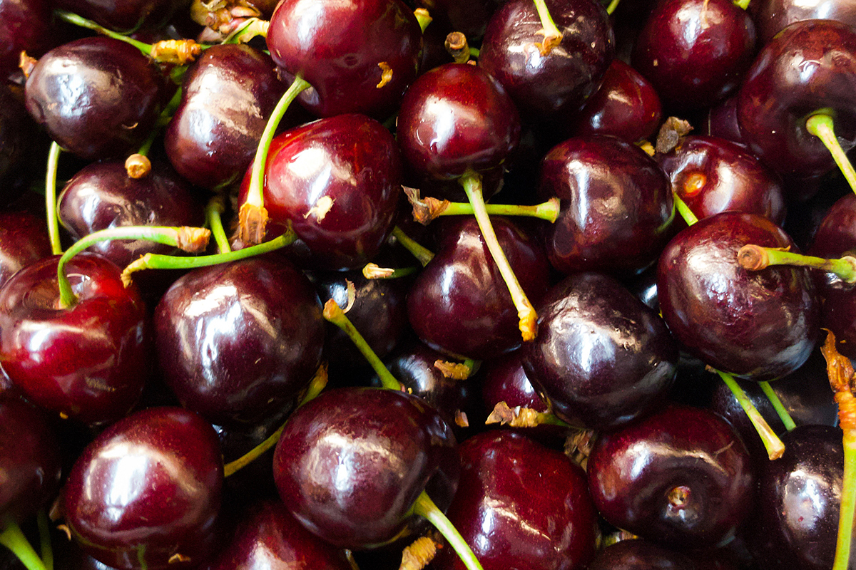 Cherry prices in Georgia rise due to spring frost damage