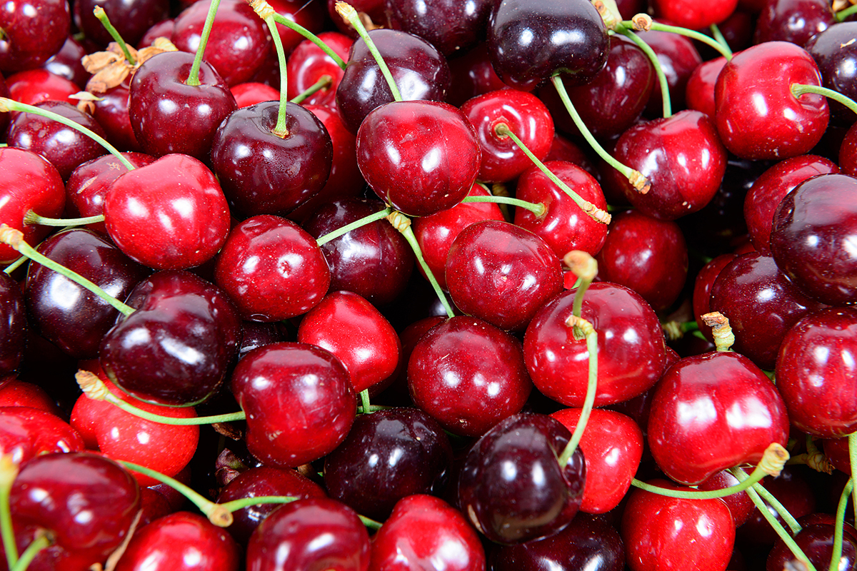 Northwest Cherries reports 2024 crop success and promotional impact at ...