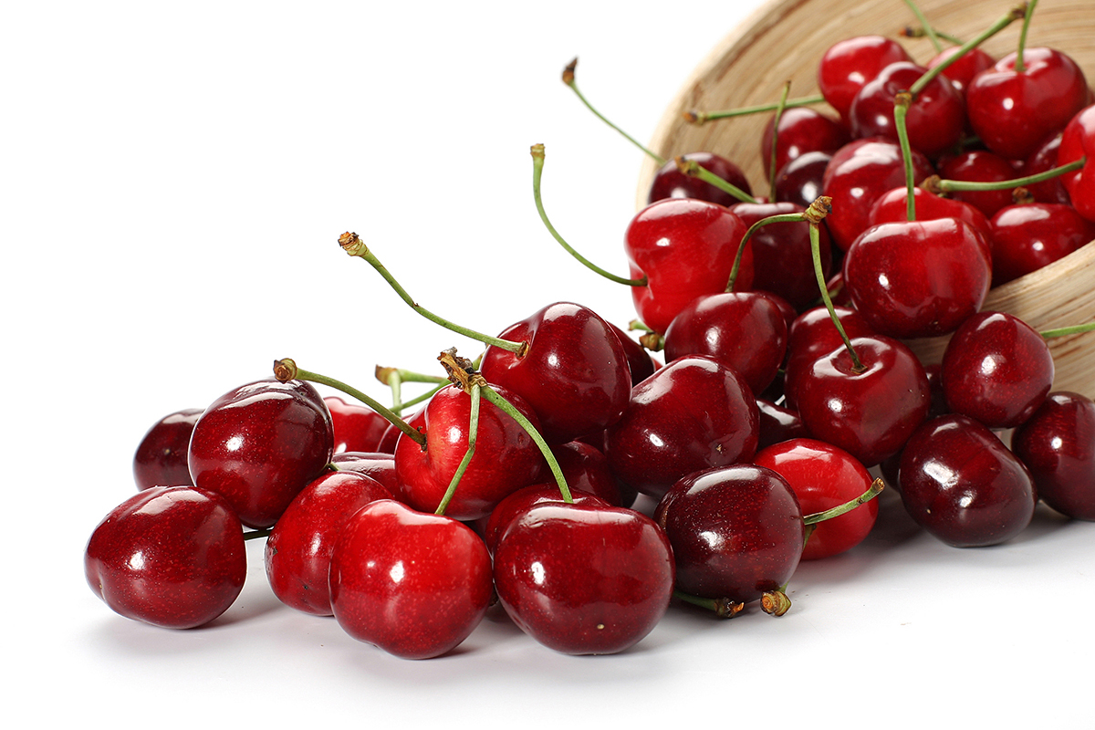 Serbia remains one of Europe’s largest cherry exporters