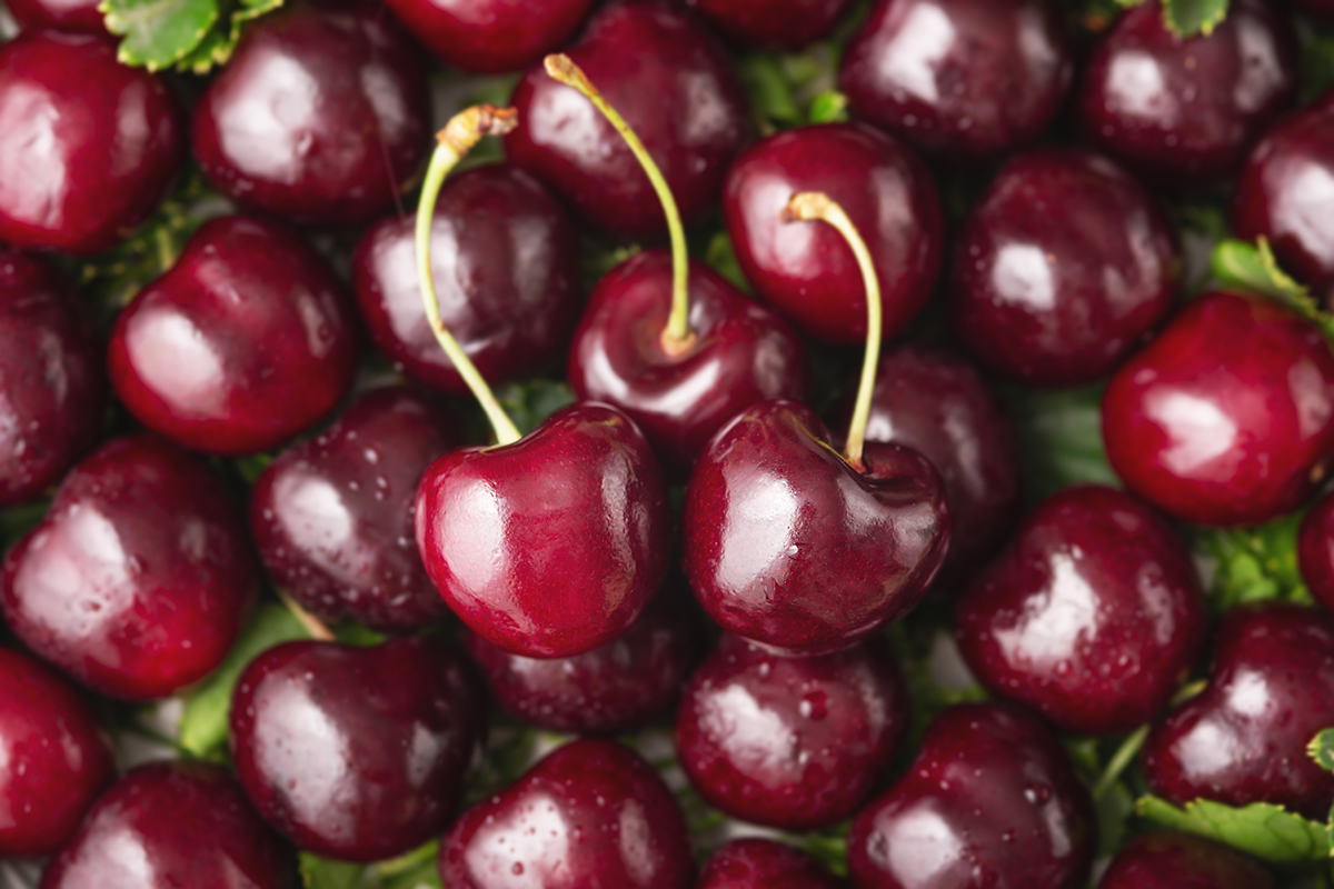 All Maersk Saltoro cherries to be destroyed
