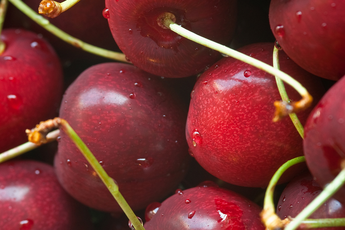 Michigan faces notably poor cherry harvest this year