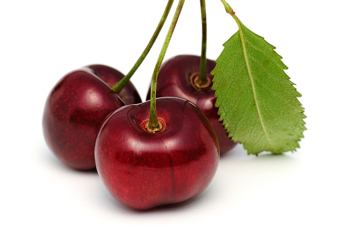 SAG certifies the first Chilean cherries for the export campaign