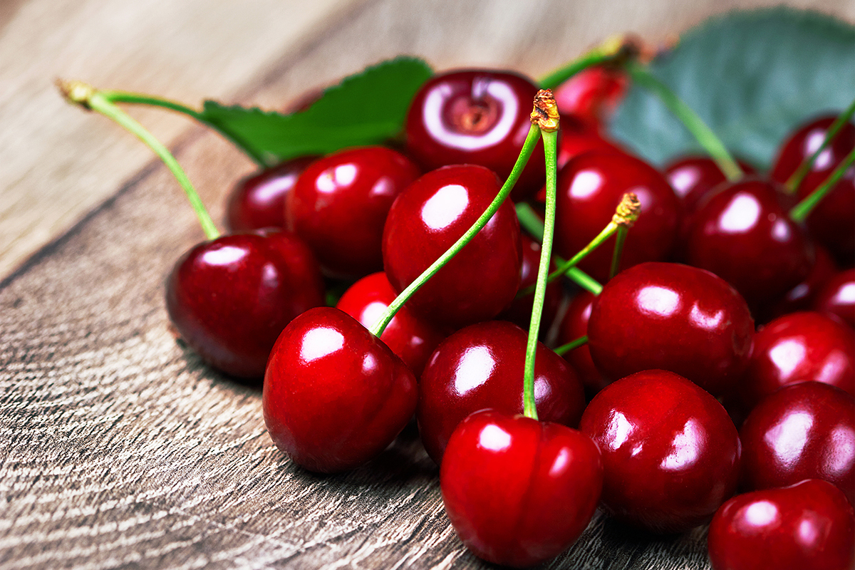 Panjshir begins cherry exports to India with 50t ready