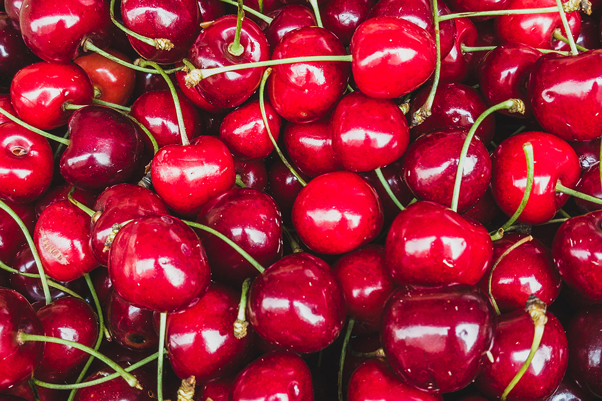 The Port of Valparaiso experiences its biggest cherry export week ever