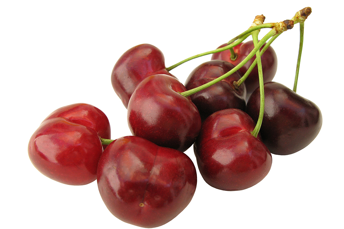 Chile's Copefrut forecasts 6% growth in cherry volume next season