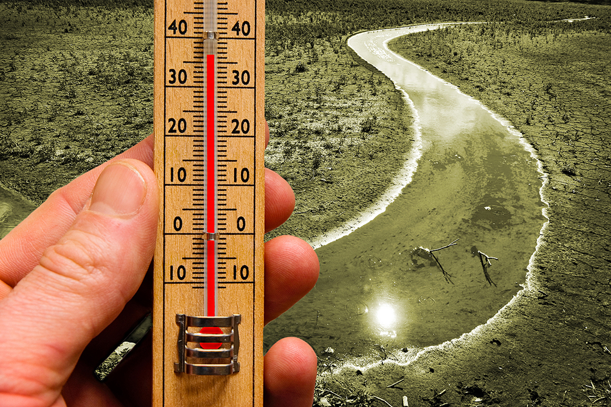 Cool summer in Wellington highlights shifting climate trends