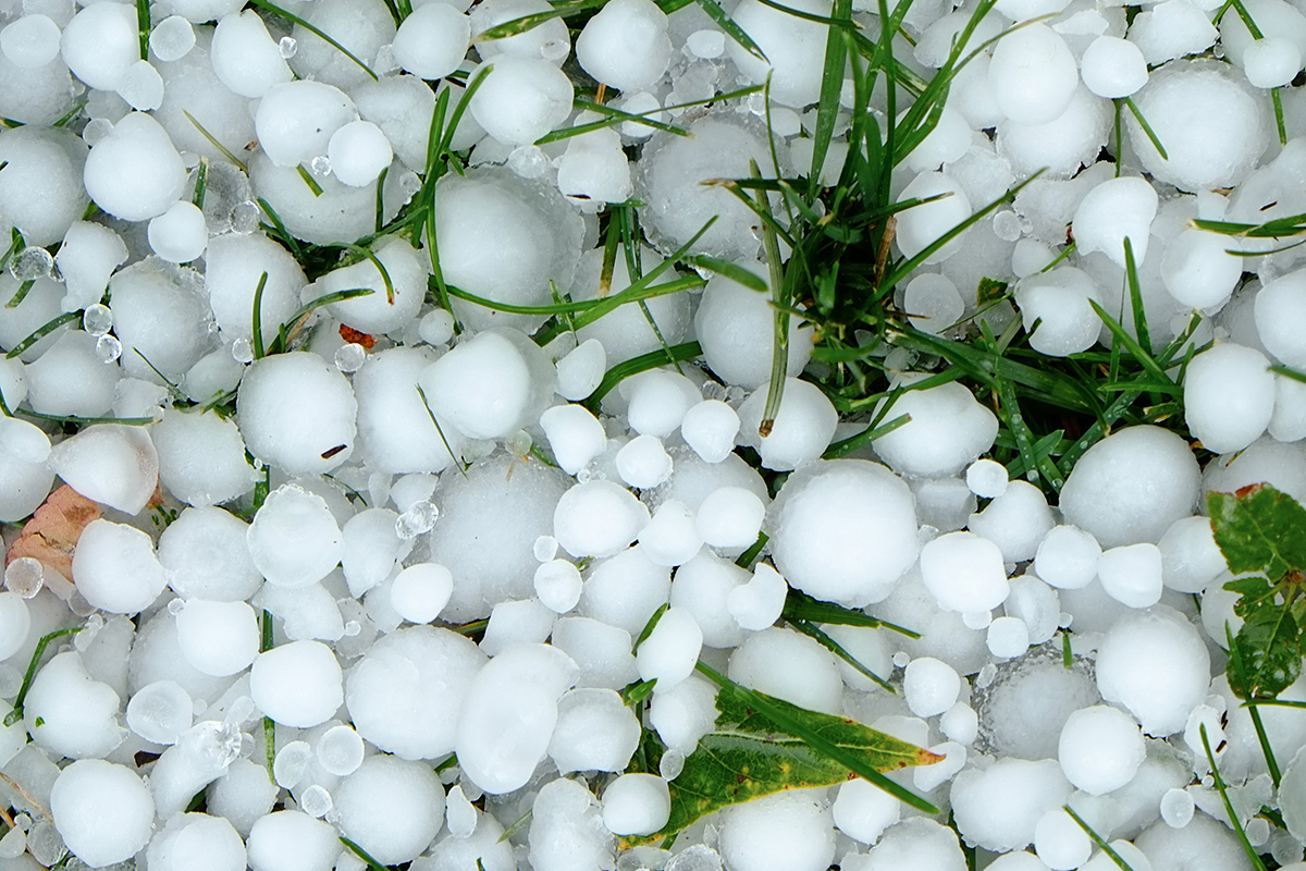 Hailstorm hits Mesa County crops