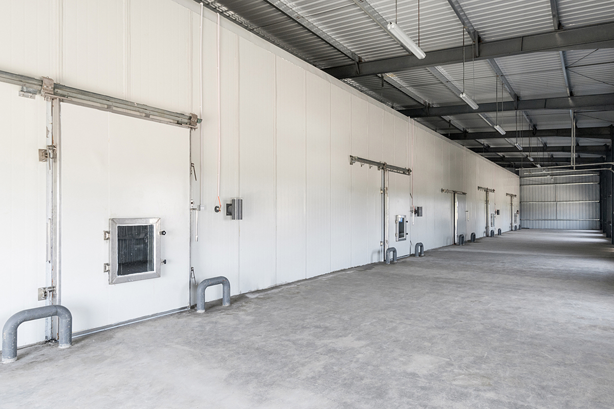 New fruit and vegetable trading and logistics center under construction ...