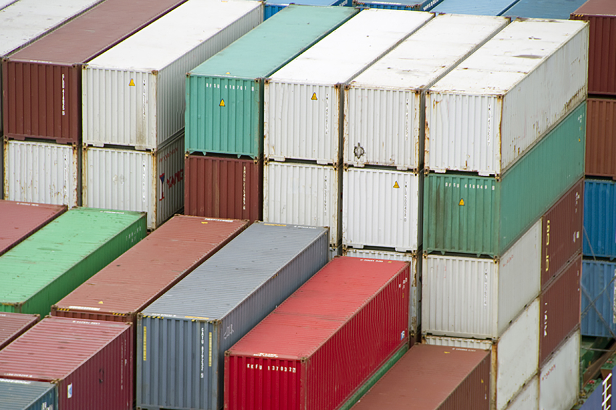 India expands agricultural exports with milestone fruit shipments and GI-tagged products