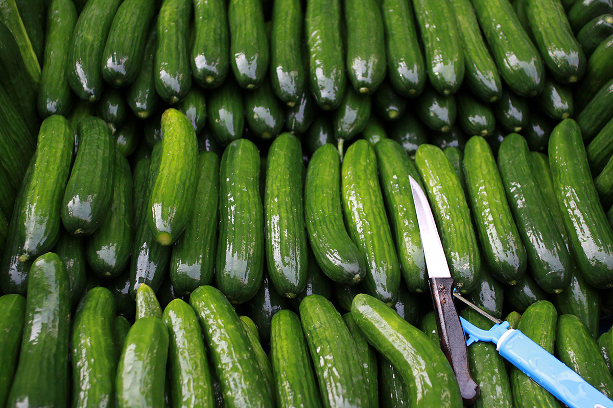 Fuentes Farms recalls open field cucumbers over Salmonella risk