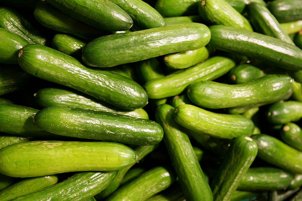 Cucumber-linked Salmonella outbreak reaches 100 cases across 23 U.S. states