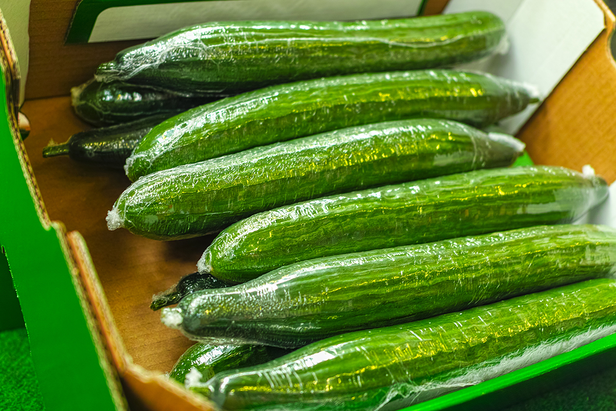 Fresh Start Produce Sales initiates recall of whole cucumbers because ...