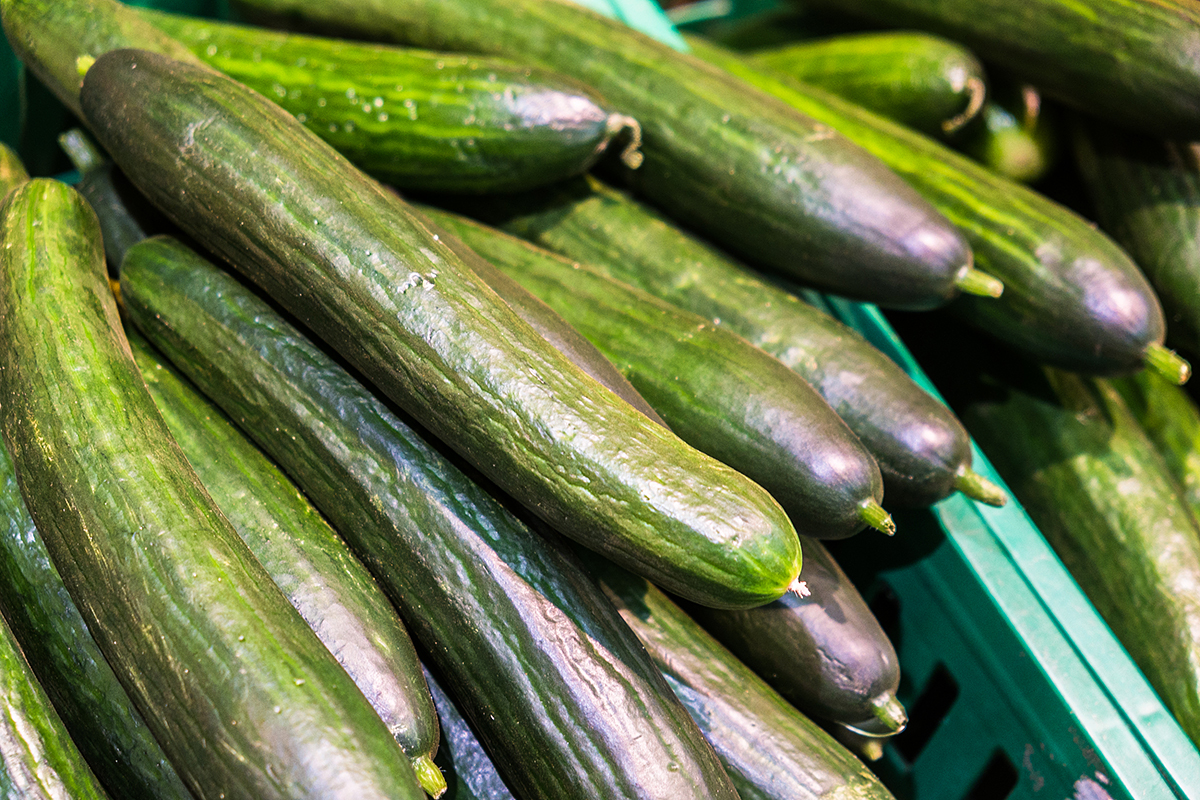 Recalls issued for cucumbers, greens, and kale kits due to ...