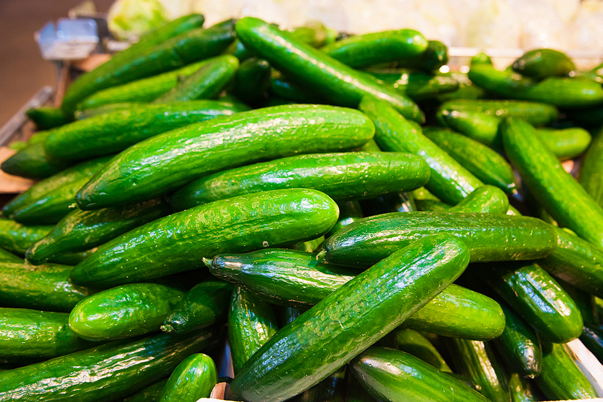 Ukraine cucumber prices fall 21% on higher supply