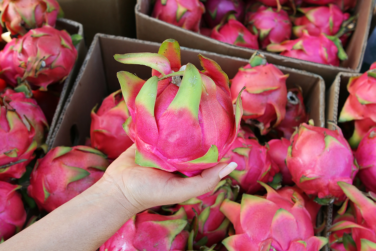 Vietnam sees a rise in fruit and vegetable exports to Thailand