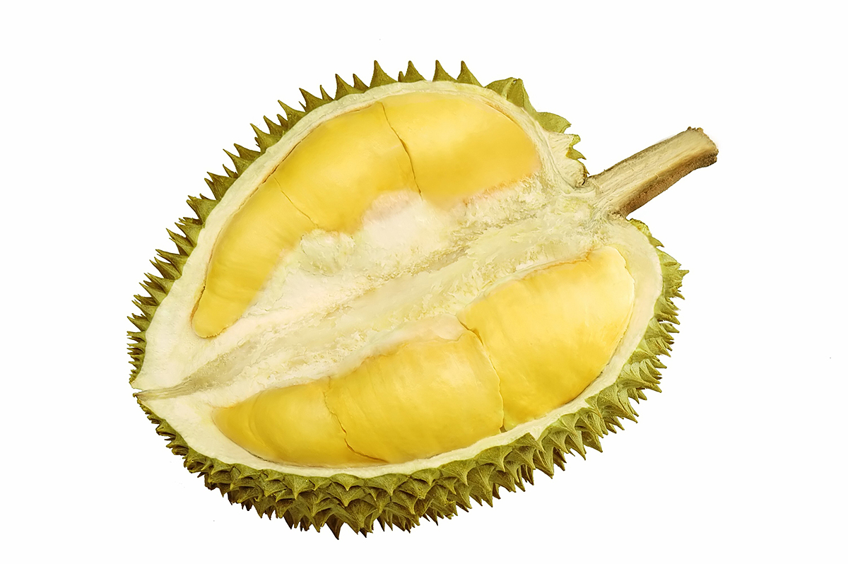 Filipino durian industry looks to Thailand for growth