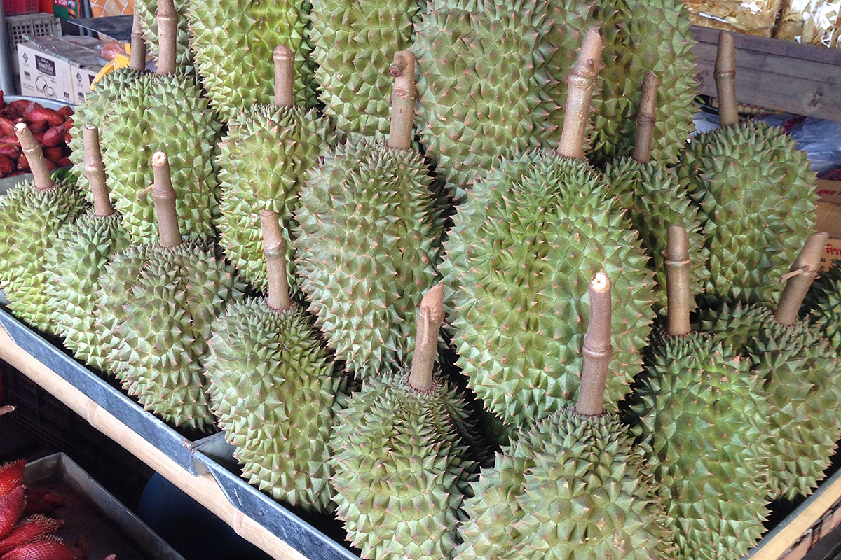 Vietnam durian exports to China rise by US$500 million