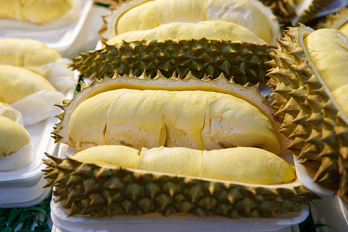 China seeks more Cambodian Au Khak durians