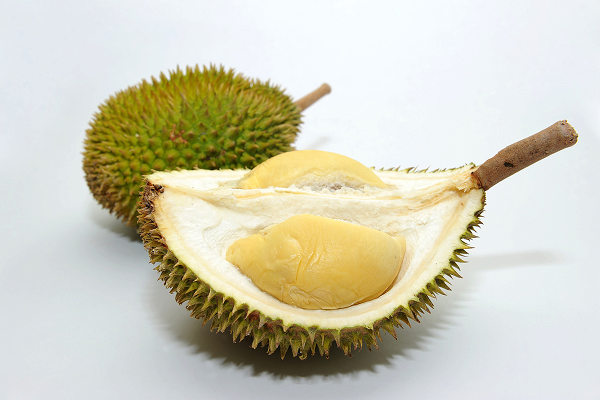 Durian exports boost Johor's economy