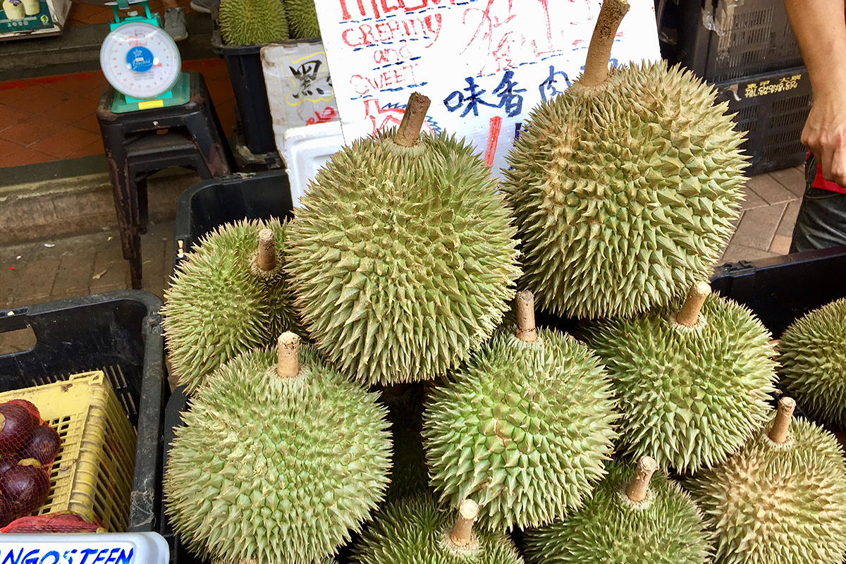 Vietnam durian prices drop to $0.98/kg due to weak demand