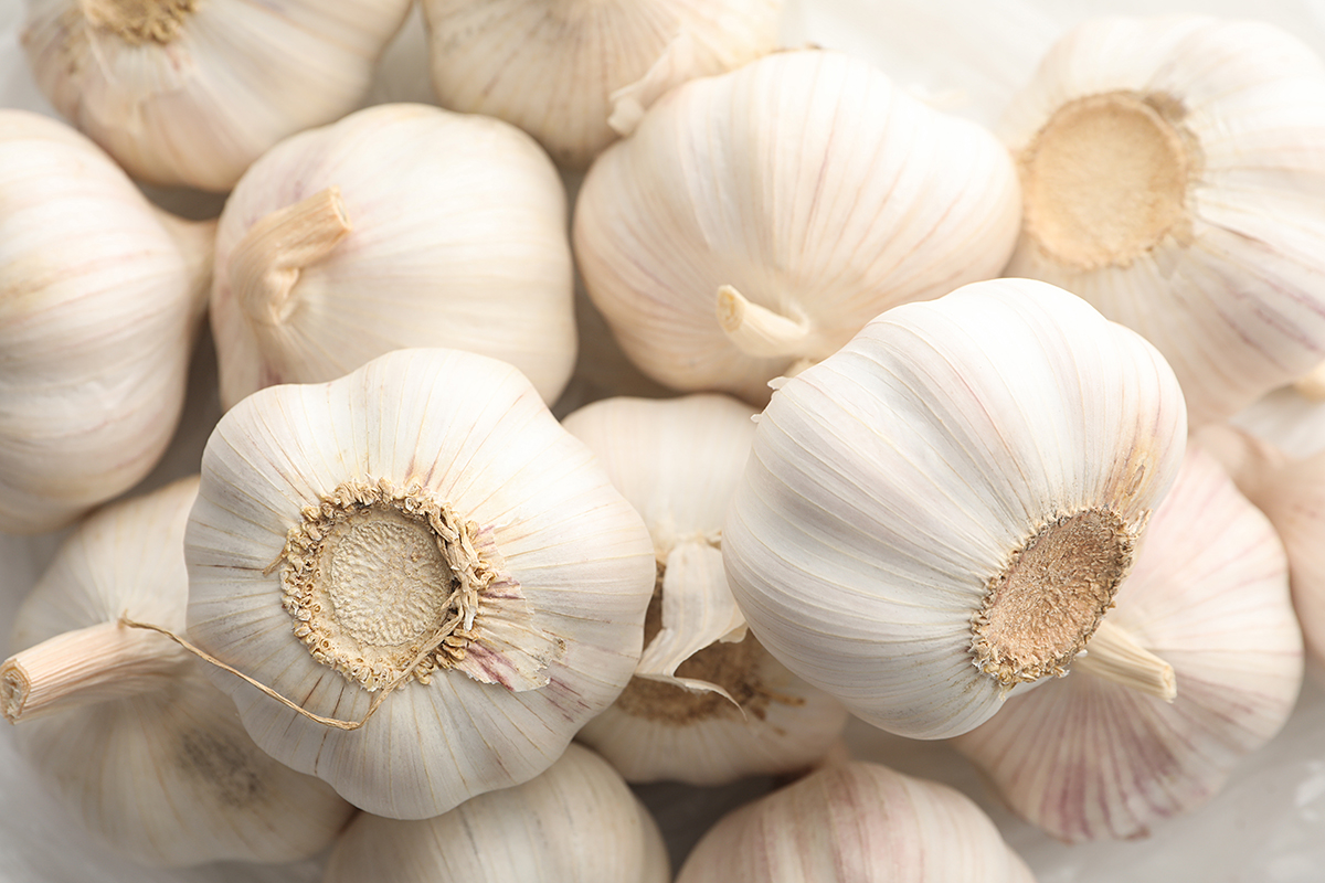 Spanish garlic and onion in check due to high costs and foreign competition