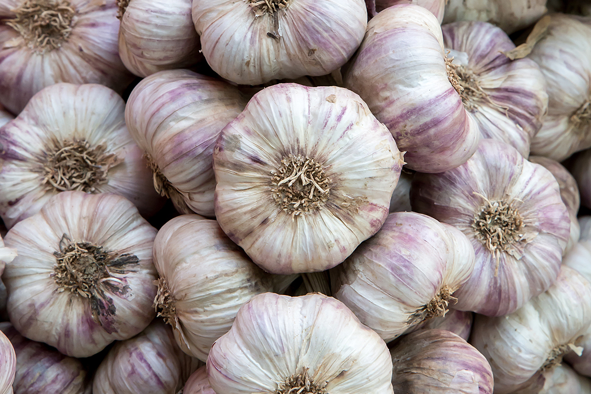 New Zealand garlic prices reflect production costs and market demand
