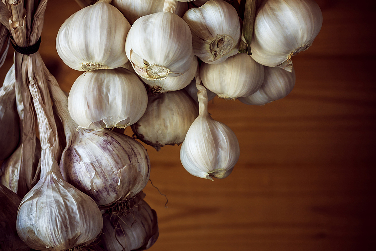 Philippines to register Itbayat garlic to boost market reach