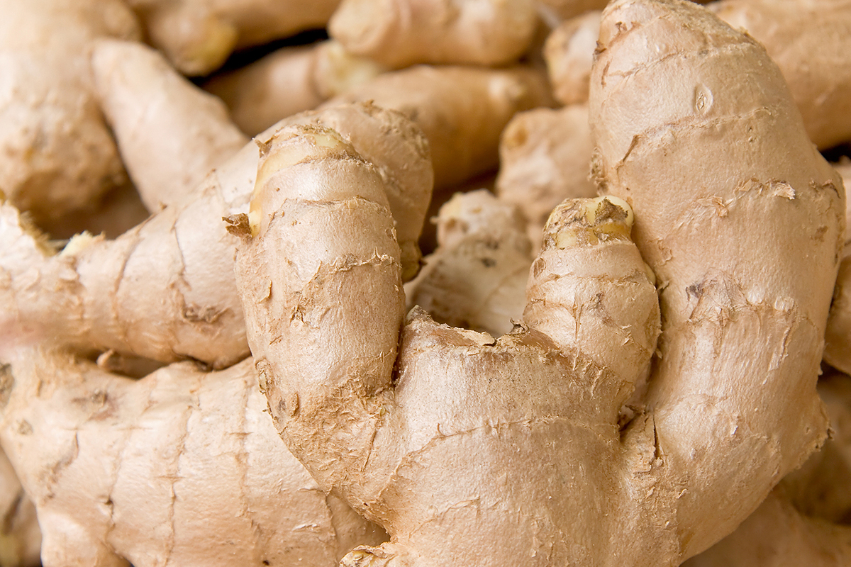 Peru's ginger harvest started with supply difficulties