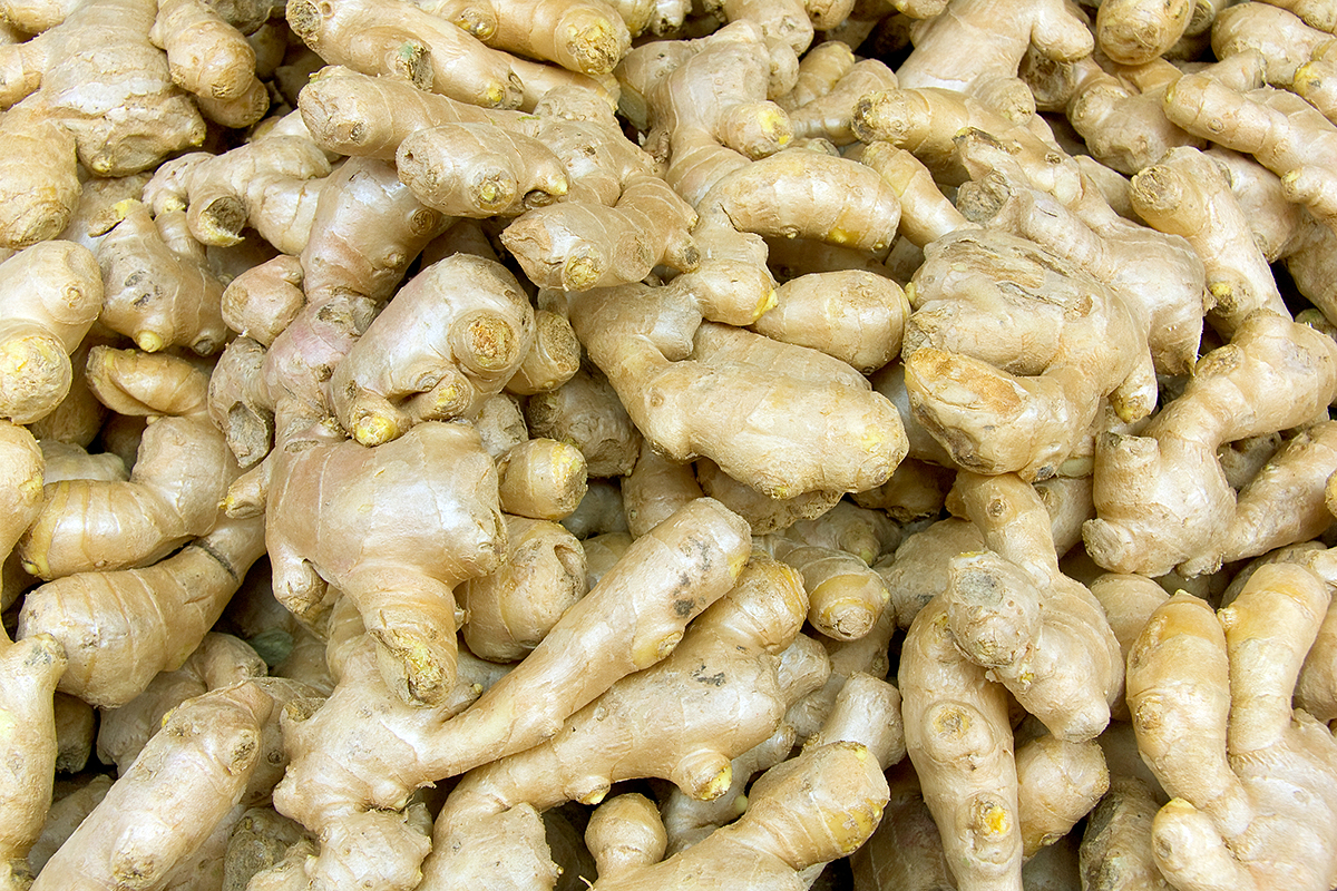 Southern Kaduna ginger farmers face crisis after fungal disease ...