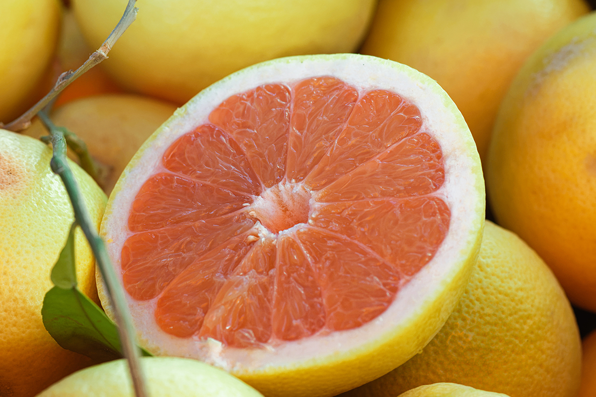 Summerstar Ruby rebrands SA grapefruit in Europe