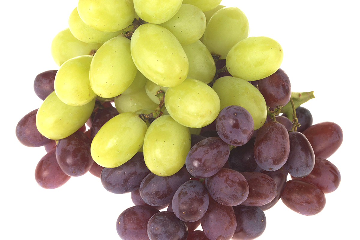 Peru has 23,320 hectares of table grapes certified for export