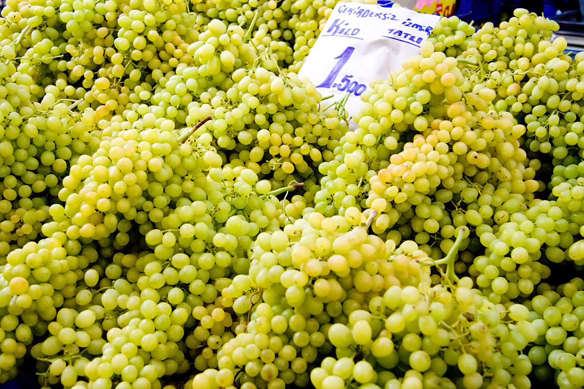 USDA updates requirements to allow for the safe importation of Chilean ...