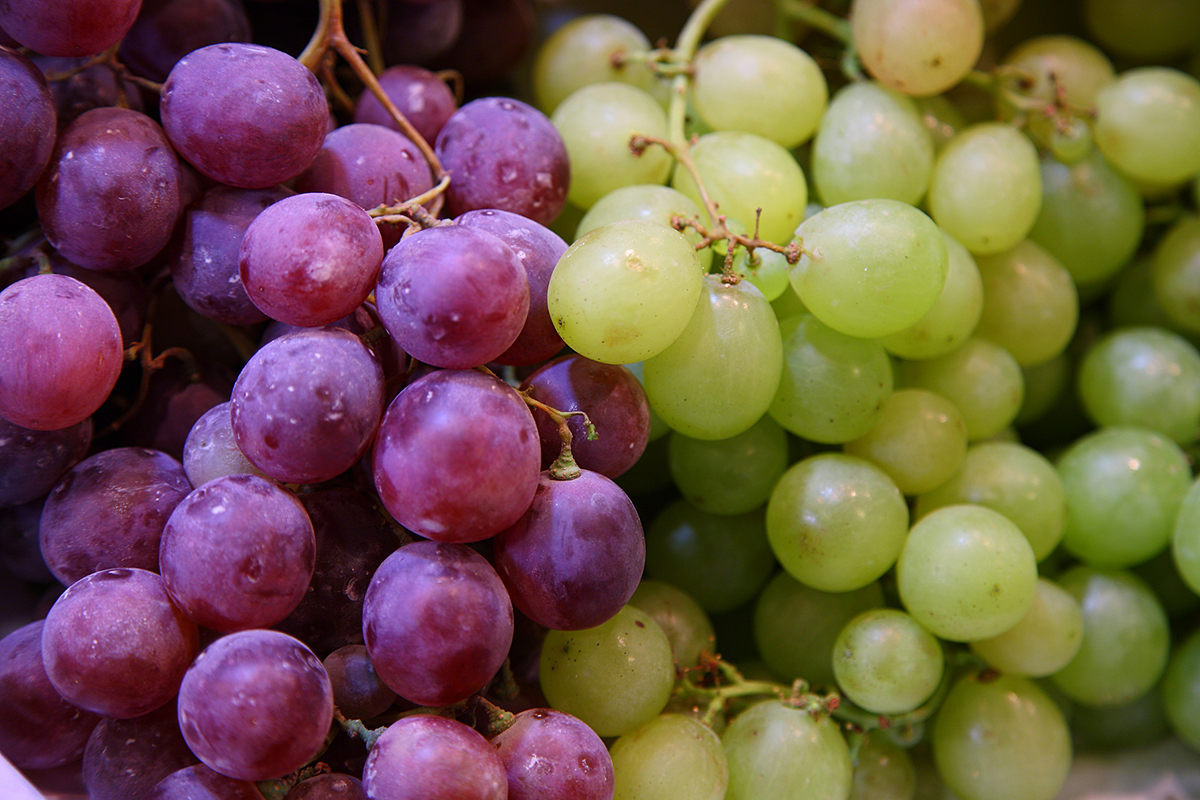 China triples grape exports to Russia in 2025