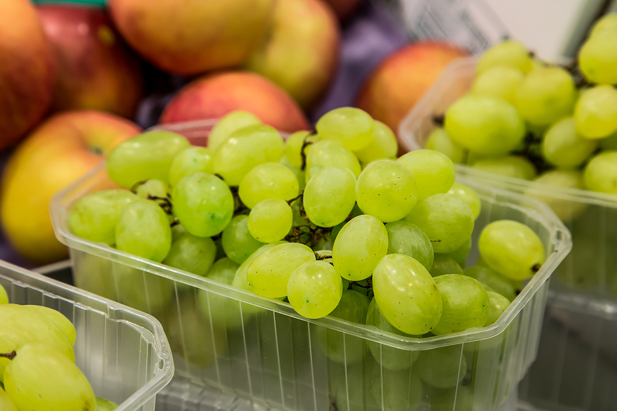 Moldovan grape sector to benefit from FAO initiative