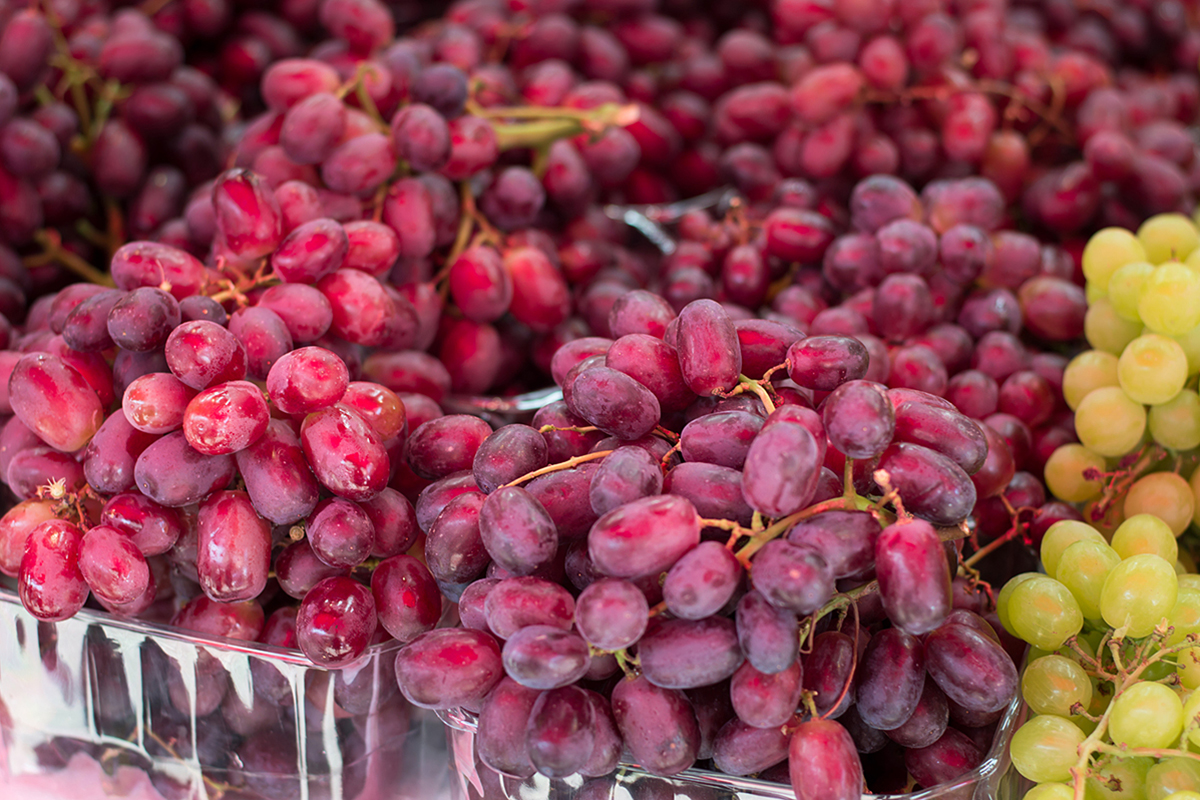 Chile forecasts a 6.9% decrease in table grape exports for the 2025-26 ...