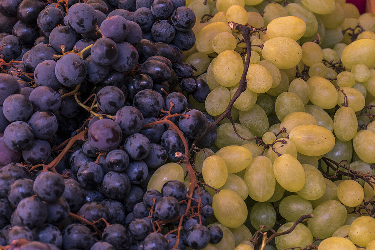 Grape harvest in Moldova to be 35% lower in 2024