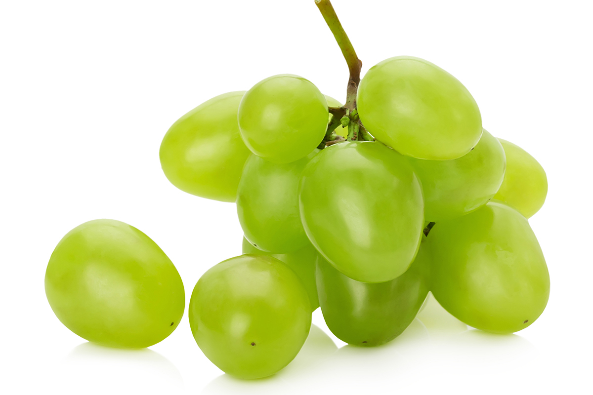 Peru's giant grapes are all the rage on the Internet