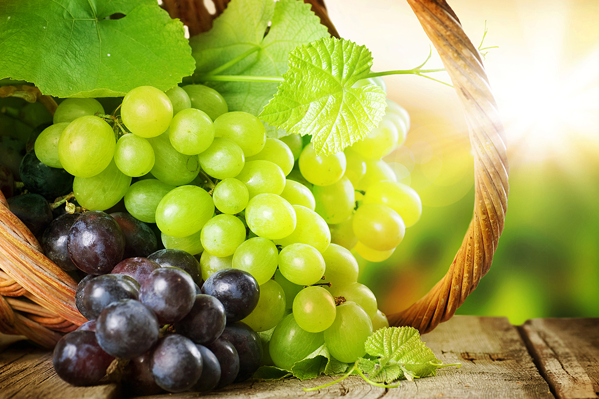 Egypt triples grape exports to Finland in 2024