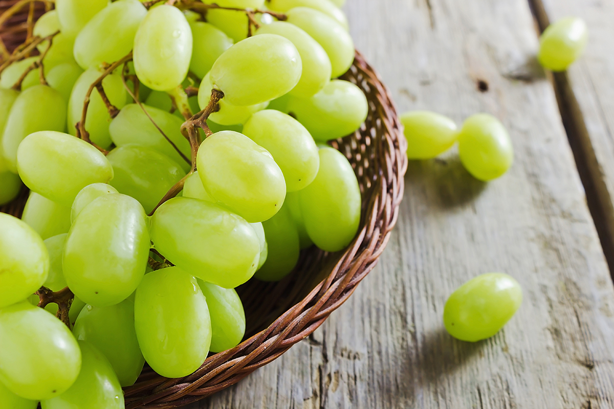 Brazil’s São Francisco Valley leads in fruit exports