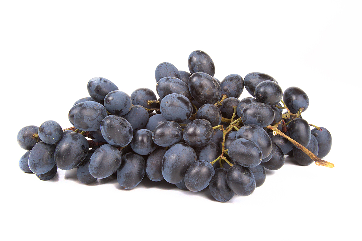 Modest export volumes of “Moldova” grapes but strong prices