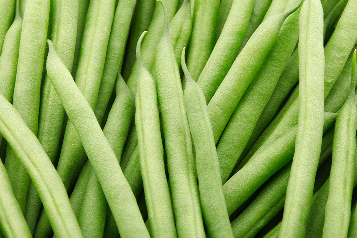 Egyptian bean exports exceed 110,000 tons in 2026