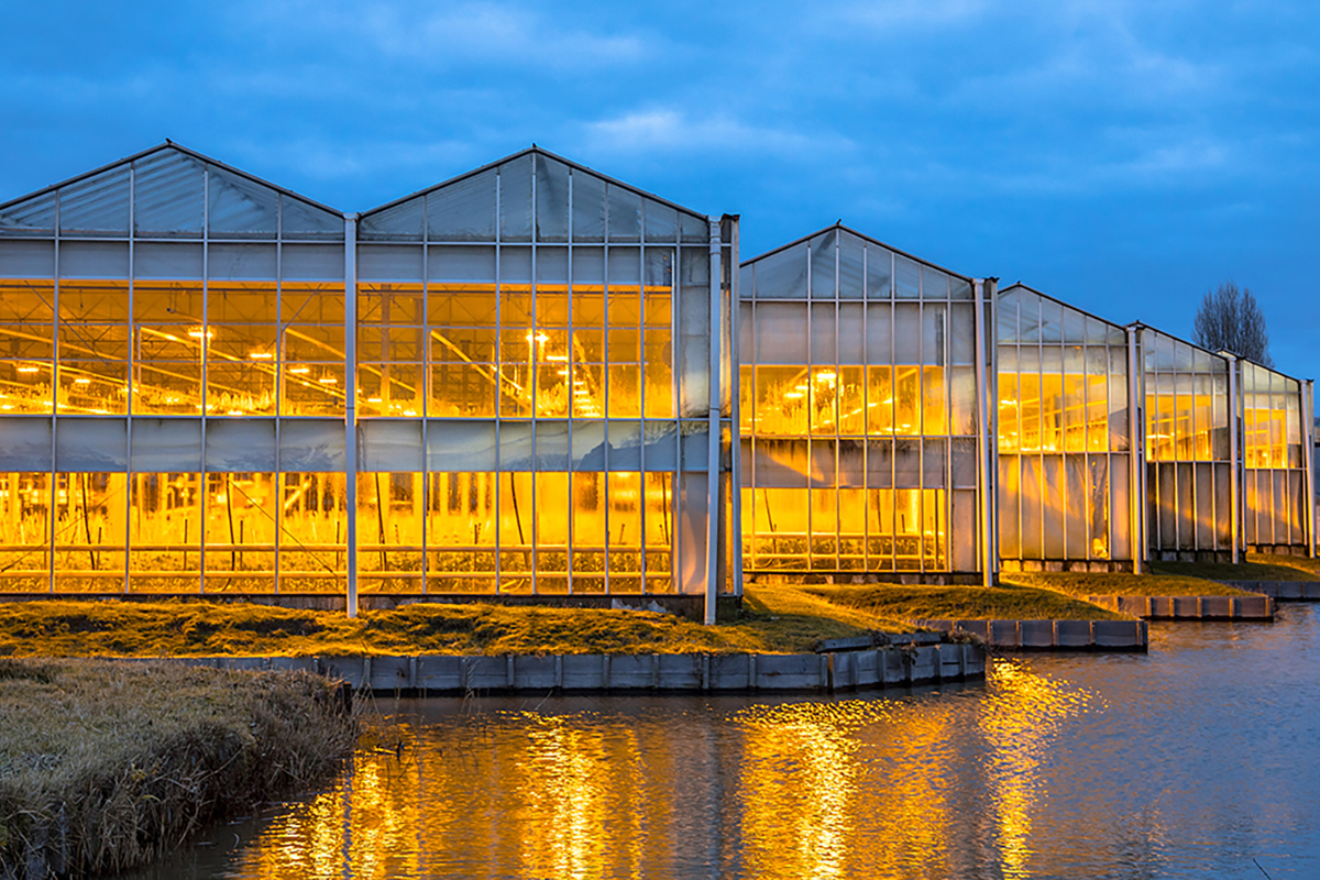 The future of the greenhouse production lies in geothermal greenhouses ...