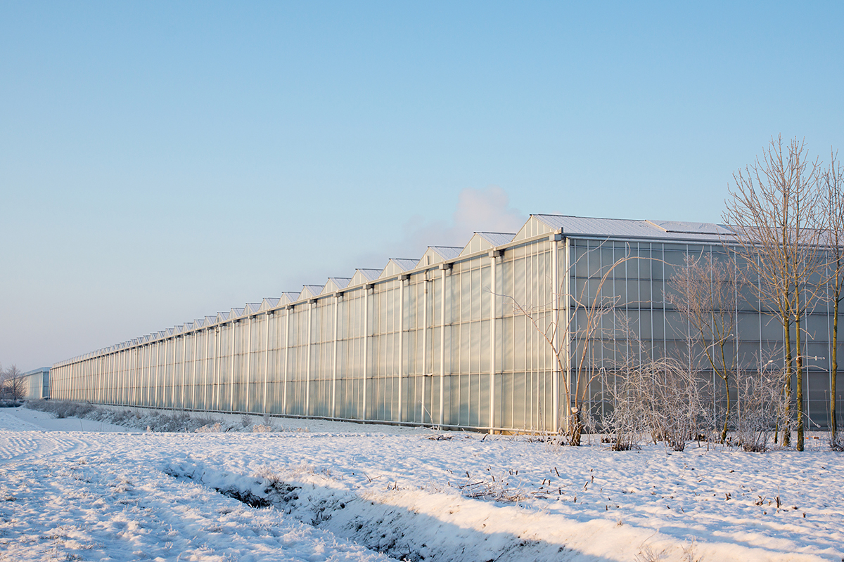 2 engineer brothers develop a remote hydroponic farming system that ...