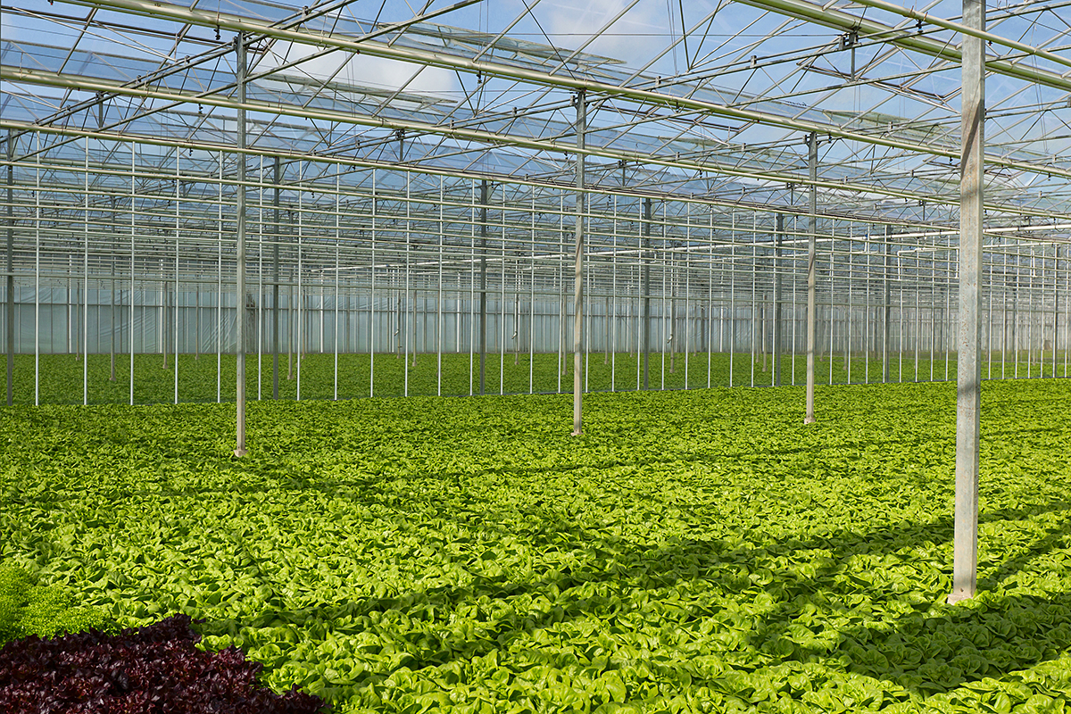 Luxembourg advances law to support greenhouse farming
